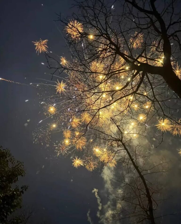 China Fireworks Supplier: Discover the Origins, Types, and Culture ...